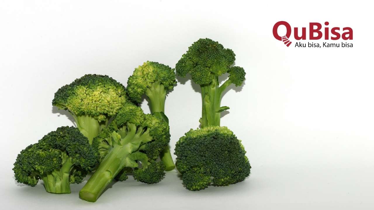 Rekomendasi Buah dan Sayur Kaya Serat