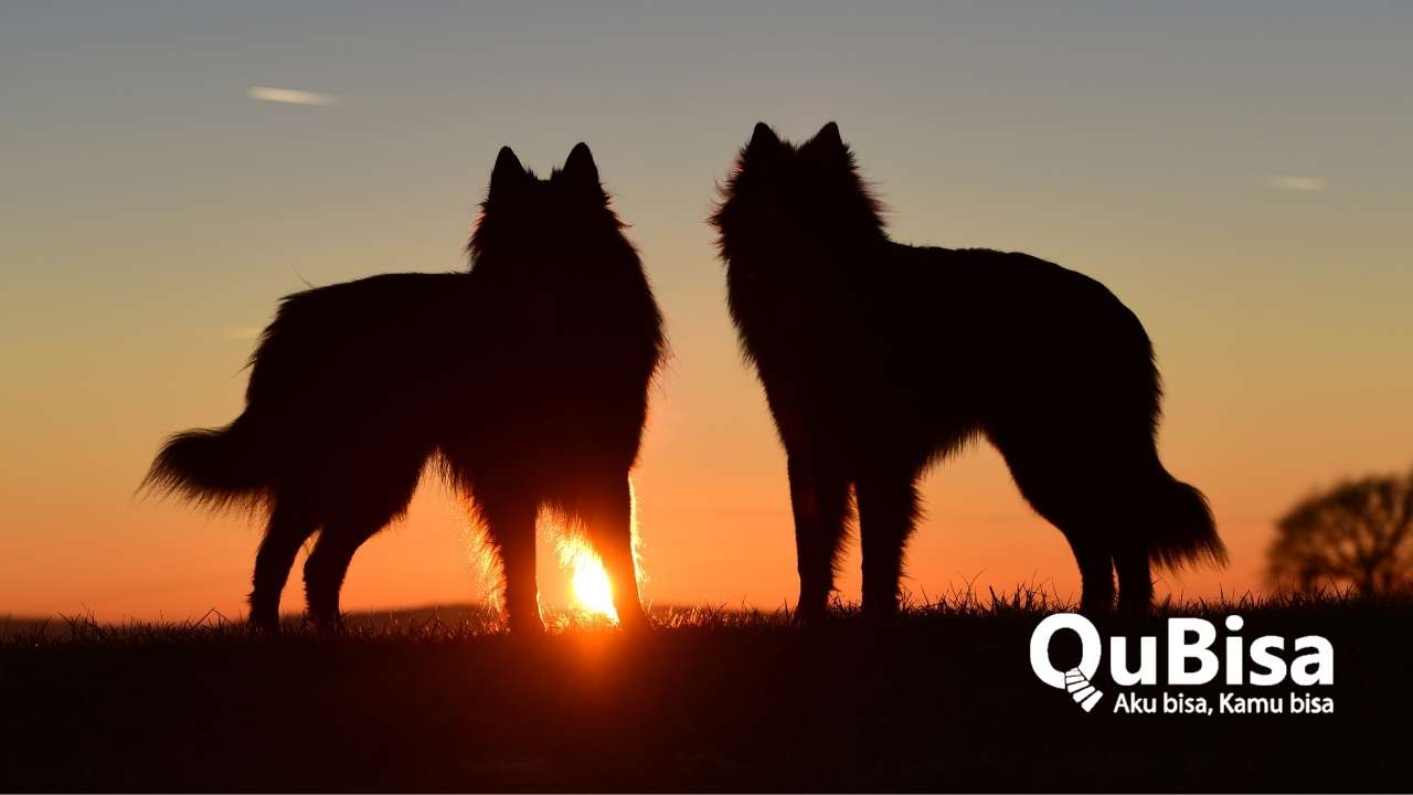 Jenis dan Teknik Pencahayaan dalam Fotografi