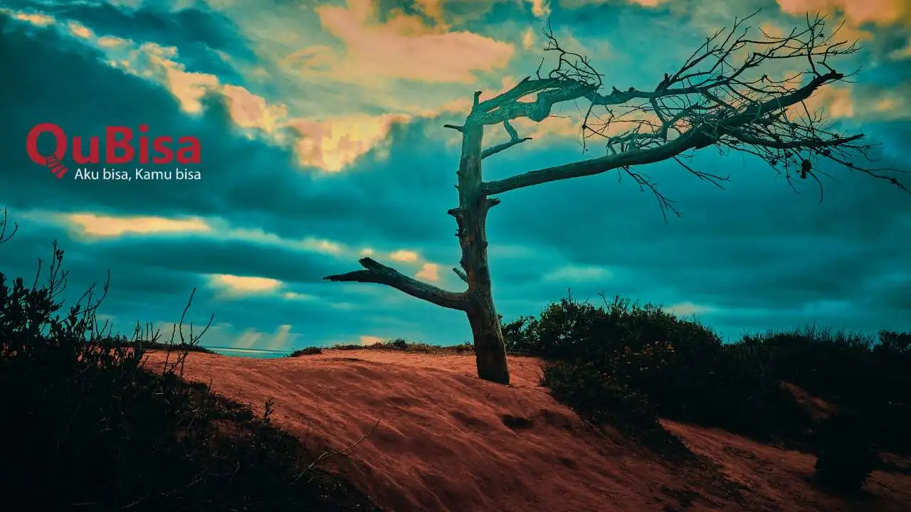 Cara Membuat Color Grading di Photoshop