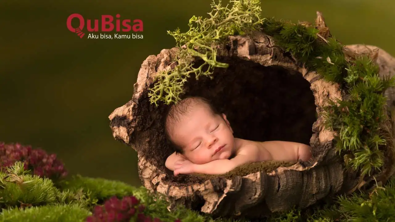 Tutorial Cliping Mask di Adobe Illustrator